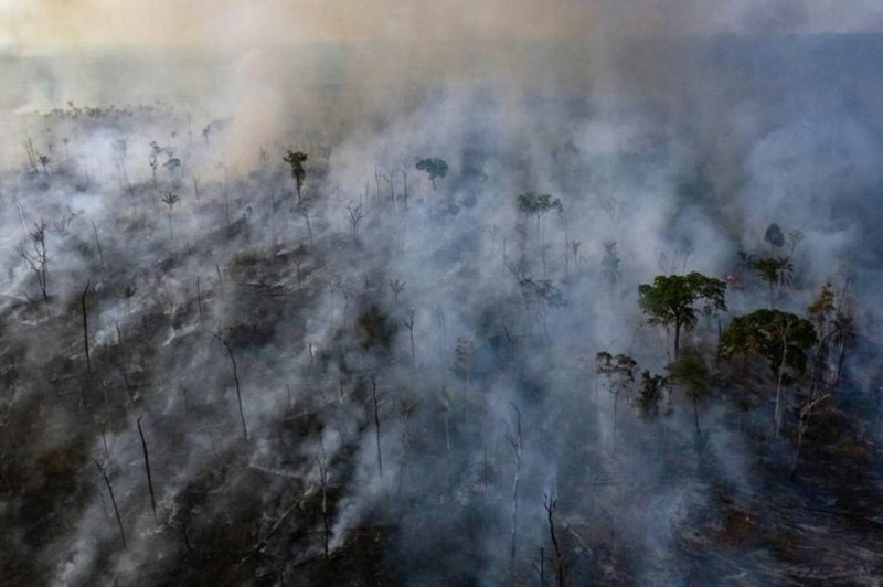 PF vai investigar grupo que teria planejado atear fogo em floresta ...