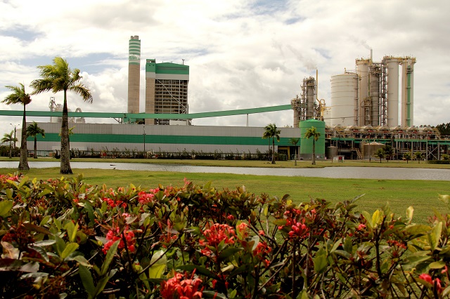 Veracel Celulose divulga edital para contratação de Analista Ambiental ...
