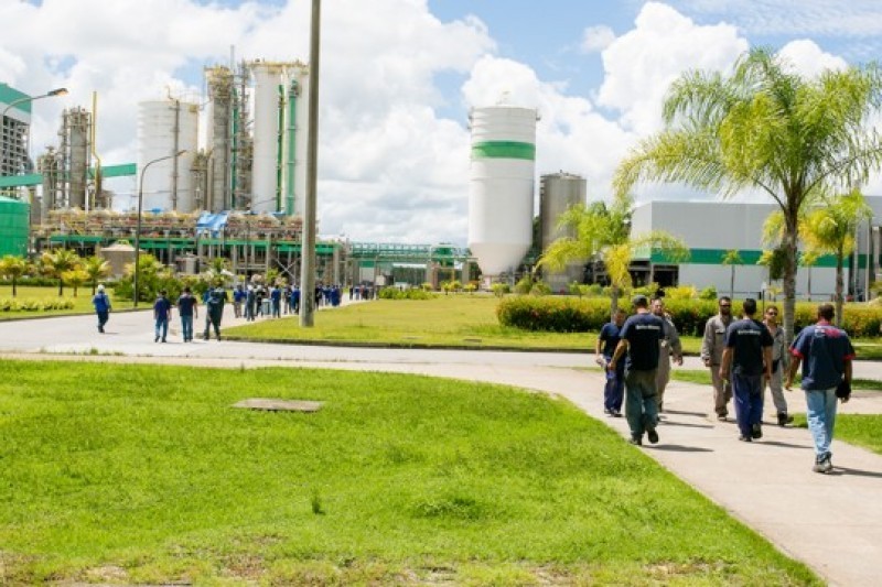 Veracel Celulose divulga edital para contratação | ATLÂNTICA News